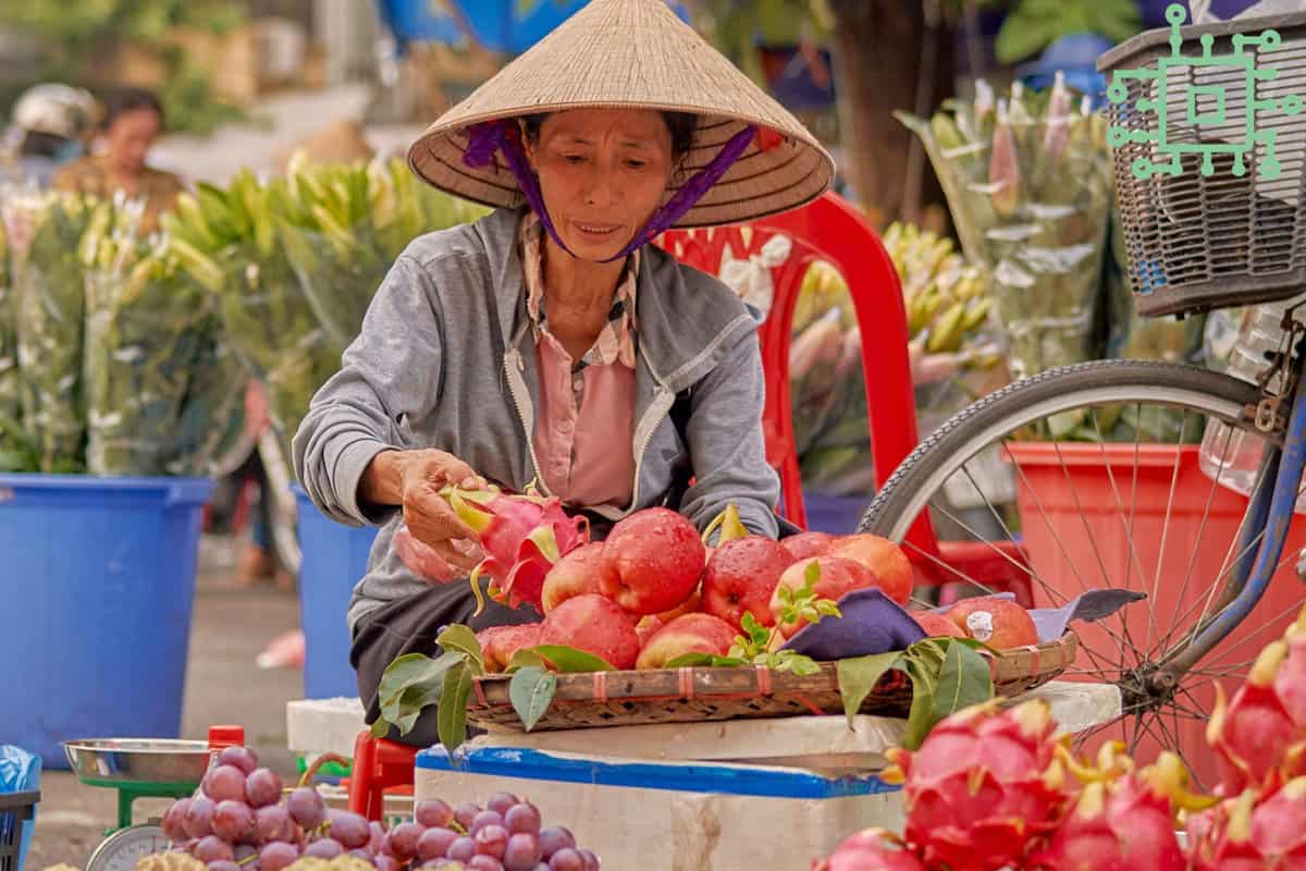 Introduction to Doing Business in Vietnam | Zesno